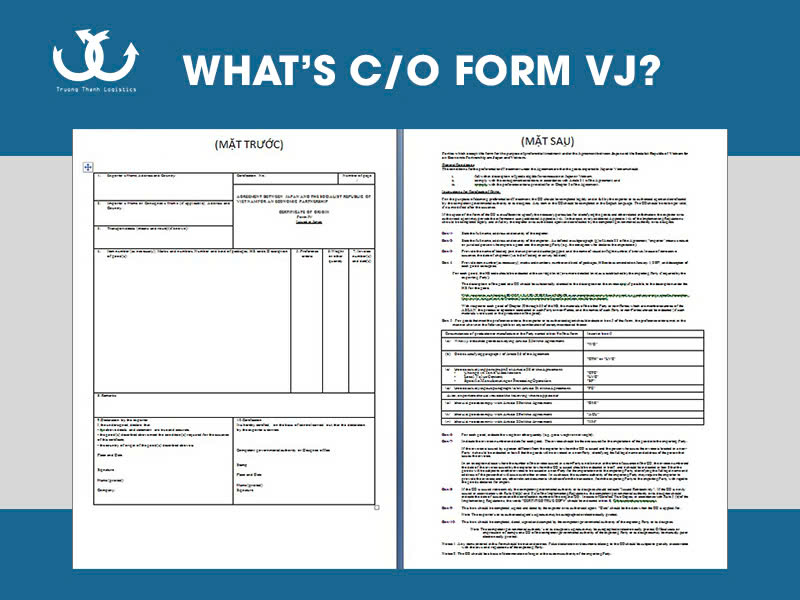 Understanding C/O Form VJ and the Application Procedure" - Trường Thành ...