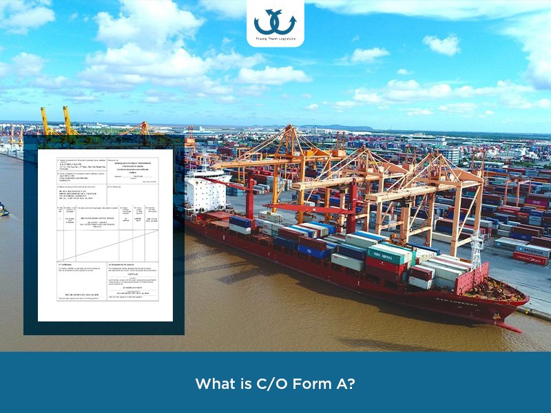 What is C/O Form A? Information about C/O Form A - Trường Thành logistics