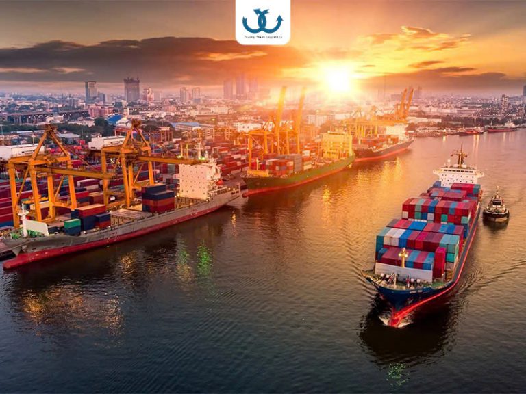 Why Do More and More Import-Export Enterprises Trust Truong Thanh ...